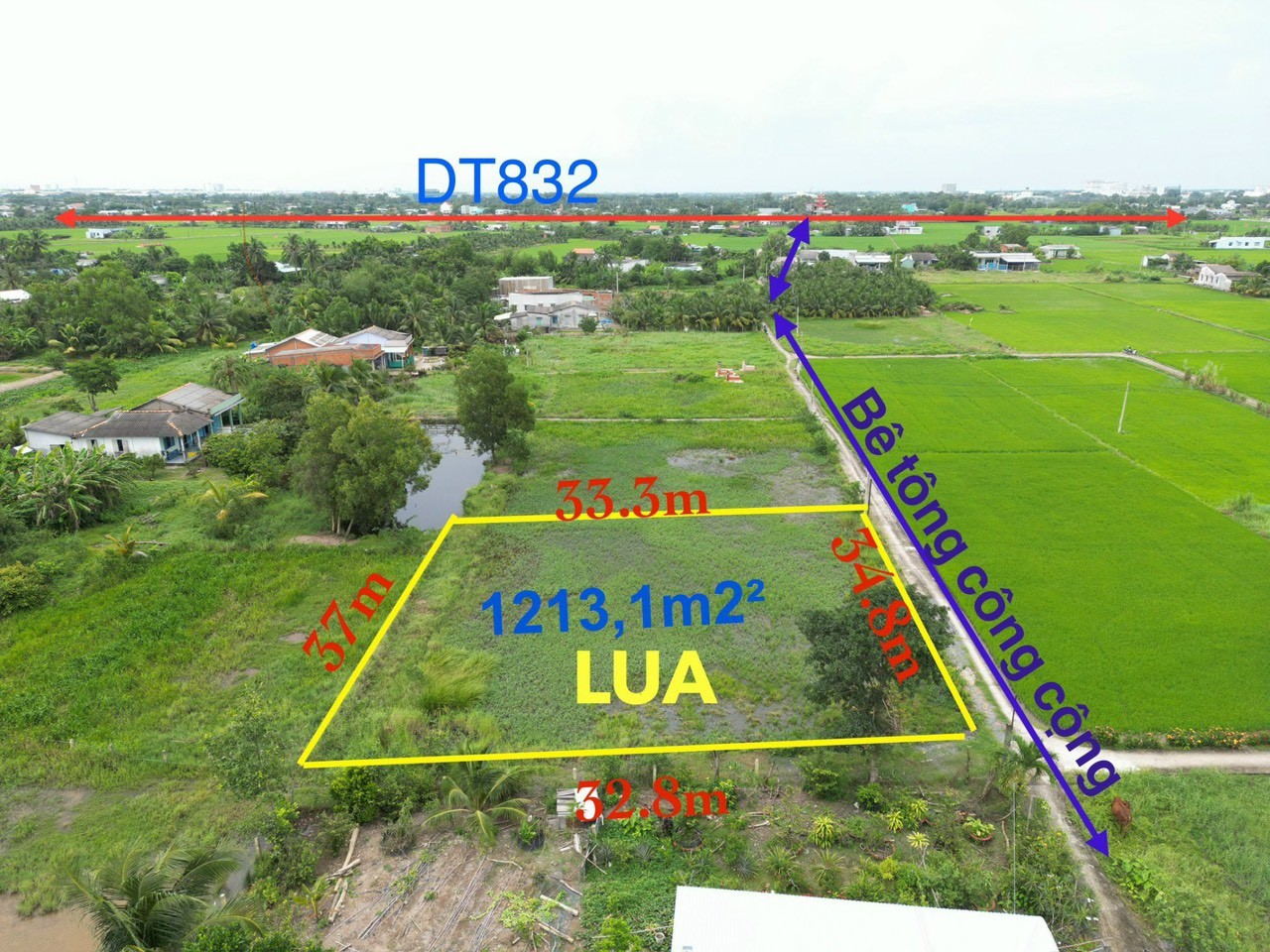 1.213m² đất lúa, đường ô tô, tại Tân Bình, Tân Trụ